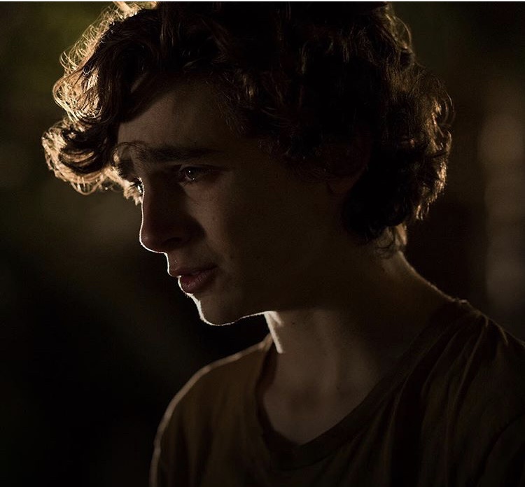 Dal 14 febbraio al cinema "Beautiful Boy" con Steve Carell e Timothée ...